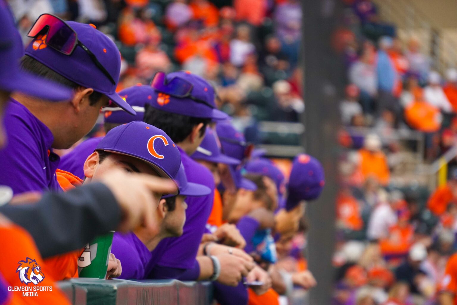 Clemson Baseball Opens Midweek Play vs. Charlotte - Clemson Sports Media